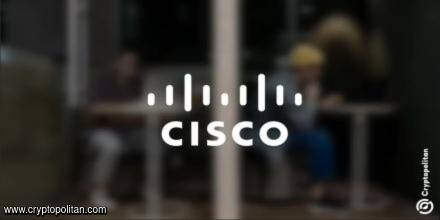 Why has Cisco stock crashed by over 10%?