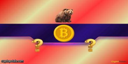 We Asked AI: Is Bitcoin Really in a Bear Market and Where Is the Bottom?