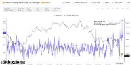 Активность крупных держателей биткоина указала на риск падения курса до $60 000