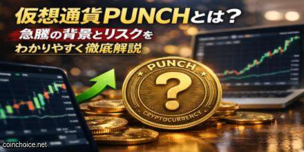 仮想通貨PUNCHとは?急騰の背景とリスクをわかりやすく解説