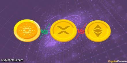 XRP Vs. ADA Vs. LINK Vs. ETH: Which Alt Is More Undervalued and Has the Biggest Upside?