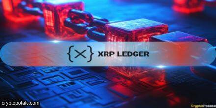 XRPL Metrics Drop 50–80%: Analyst Explains Why and Can It Hurt XRP’s Price