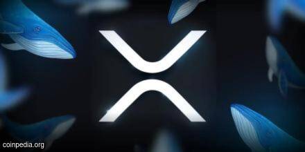 ‘XRP to $100 Is Not Crazy,’ Says Finance Insider  Here’s Why