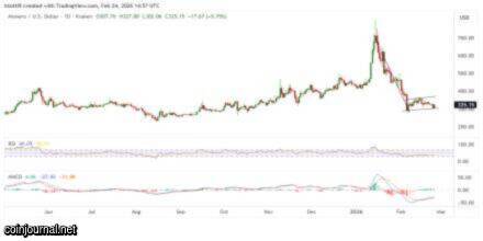 Monero (XMR) hits resistance as bears threaten the $300 level