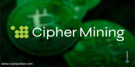 Cipher unveils its Q4 and full-year 2025 results, with revenue falling below analyst expectations
