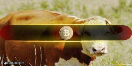 Bullish Sentiment Returns as BTC Nears $70K But Is it a Bull Trap? 