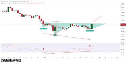 Why Cardano Failed a High-Probability Breakout Despite $340 Million in Whale Buying