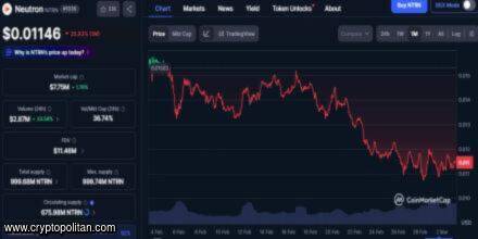 Neutron pauses services after white hat flags security vulnerability