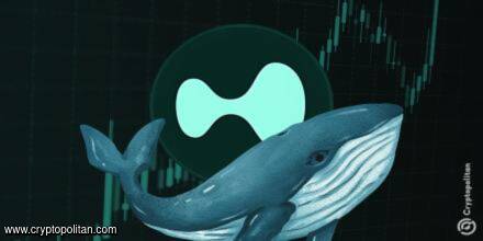 Hyperliquid whales pile into newly launched oil futures market
