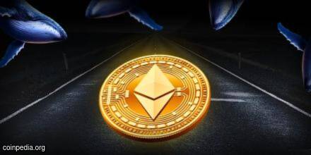 Ethereum Price Stabilizes as Liquidations Fade But Institutional Demand Builds