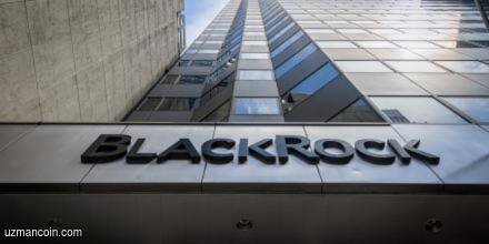 BlackRock yöneticisi: Sessizce Bitcoin biriktiriyorlar