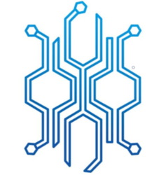Krakens Dynamik im dritten Quartal 2025 erklärt: Markttreiber, Wachstum und andere Aspekte