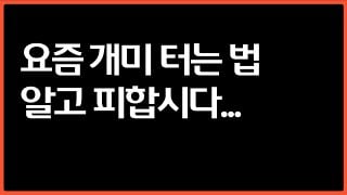 이거 저도