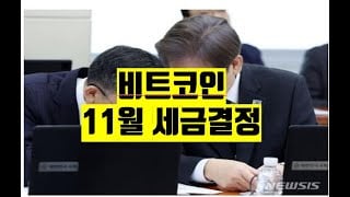 11월 세금결