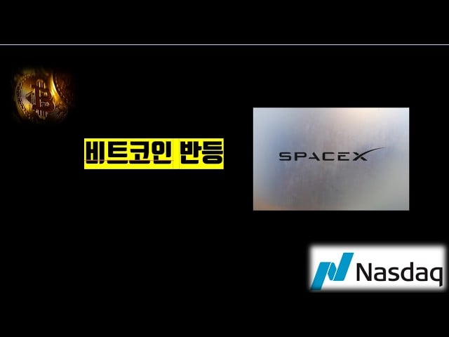반등 미국�
